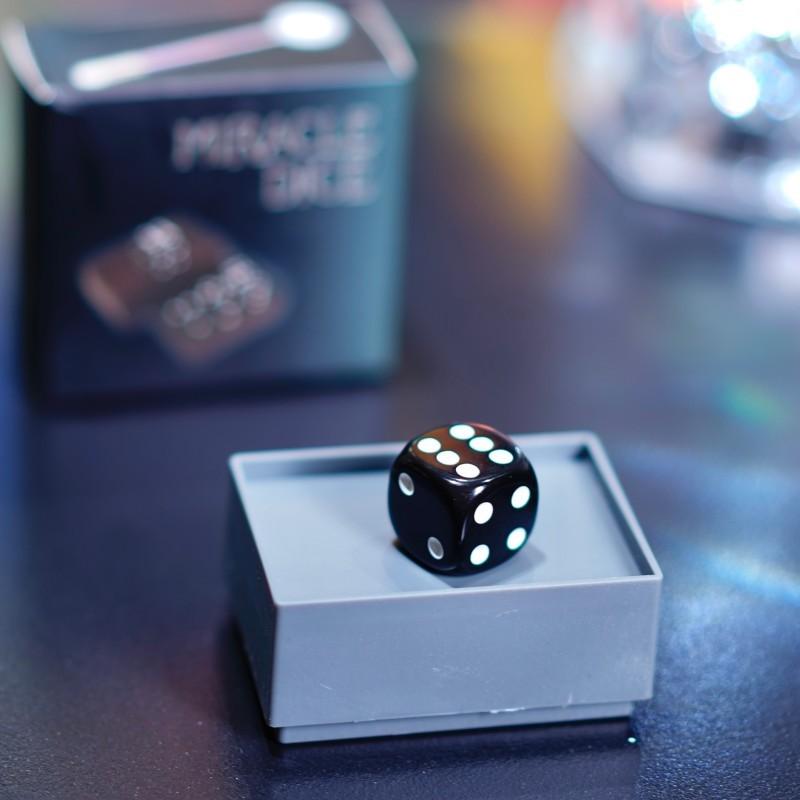 Super Fun Magic Dice Trick Set, 7 Dice and Box, Amazing Number Change ...