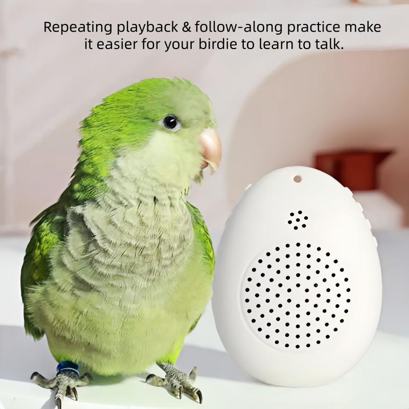 Teach Your Parrot to Talk Quickly! Smart Learning Machine, Easy ...