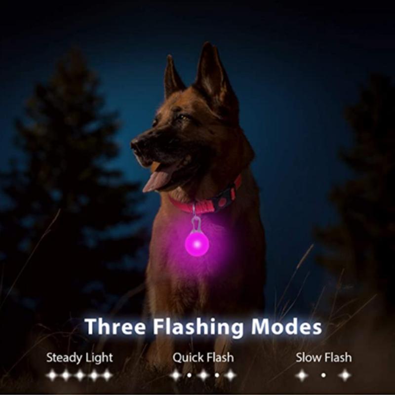 LED Glowing Pendant Flashlight Dog Cat Collar, Glow in the Dark Bright ...