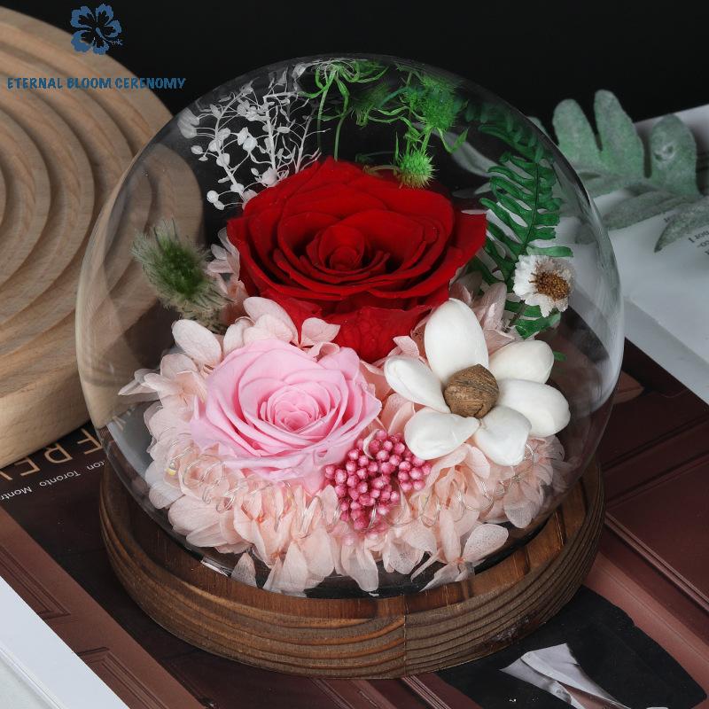 Enchanted Roses Gifts for Her - Real Rose Flowers in Glass Dome with ...