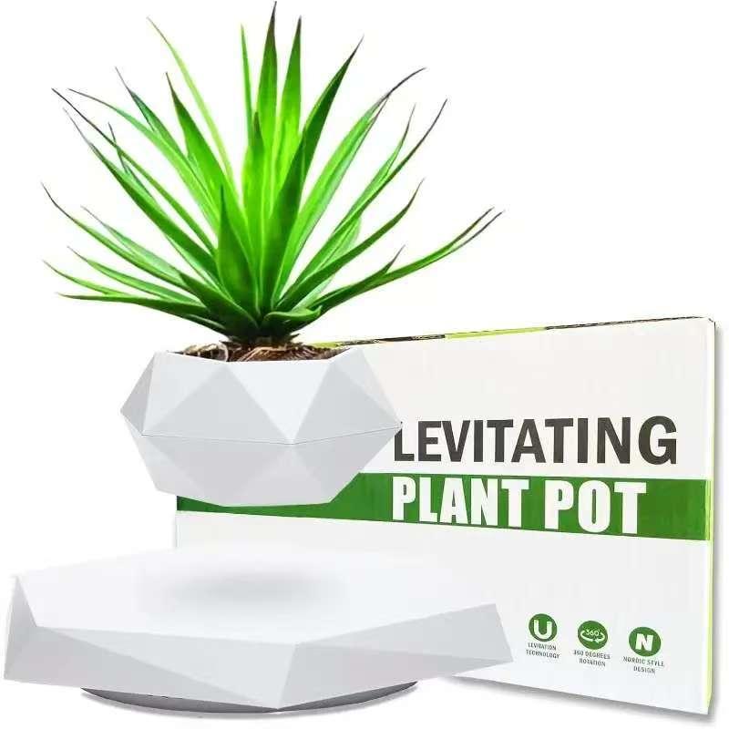 Levitating Pot - Levitating Planter for Bonsai, Succulents, Air Plants ...