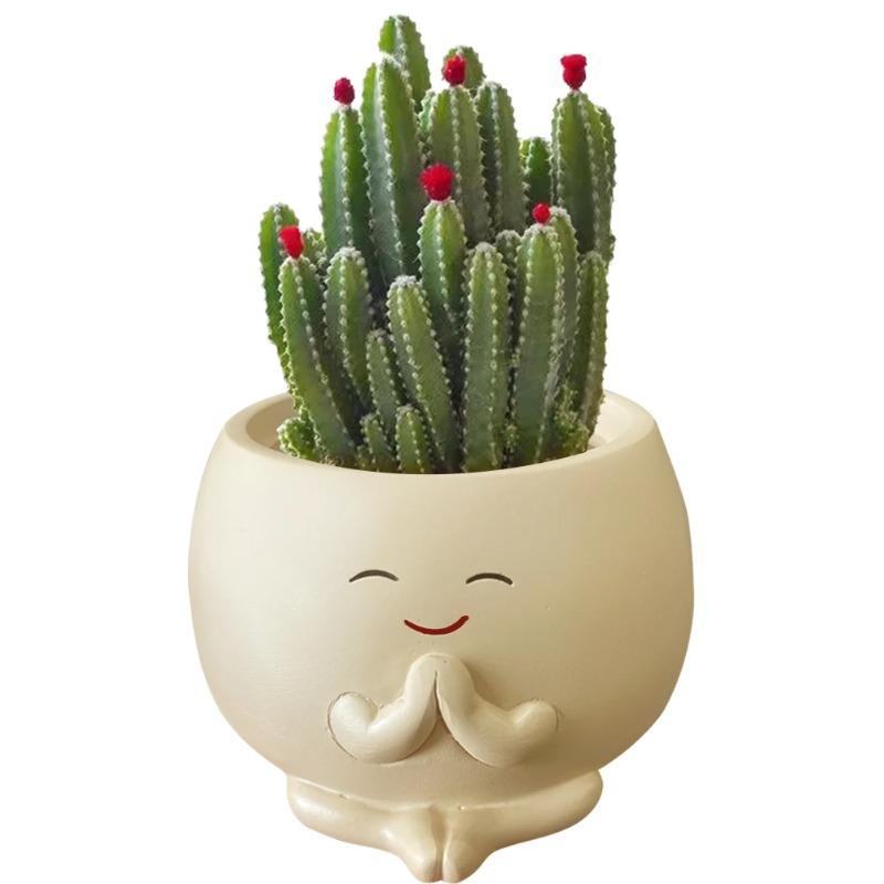 Smile Face Planter with Drainage Hole Smile Face Flower Container Cute ...