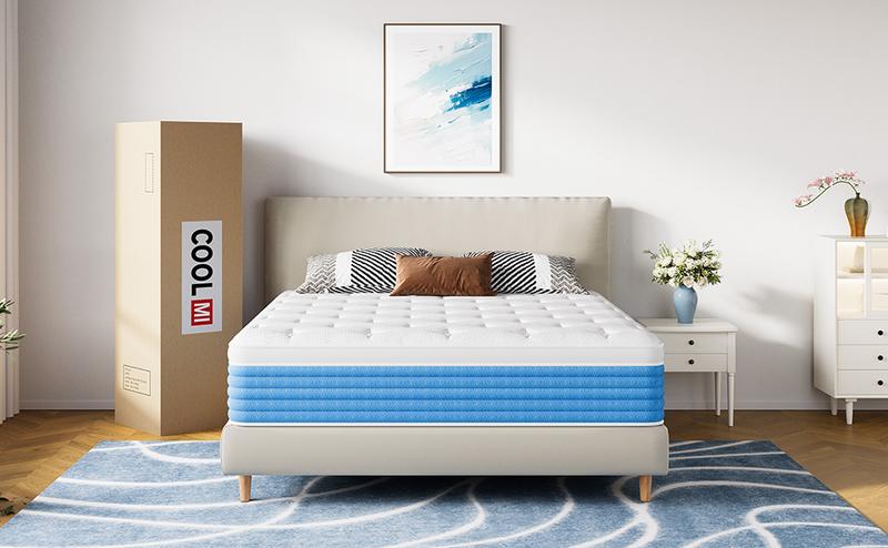 COOLMI 12/14 Inch Hybrid Mattress Queen Memory Foam & Pocket Springs ...