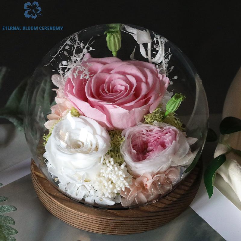 Enchanted Roses Gifts for Her - Real Rose Flowers in Glass Dome with ...