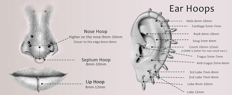 4PCS 18G Nose Rings Hoops, Surgical Steel Earrings Tragus Septum ...