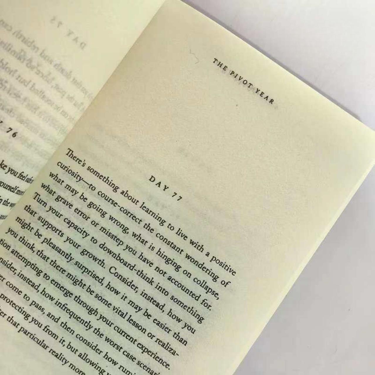 The Pivot Year: 365 Days to Become the Person You Truly Want to Be ...