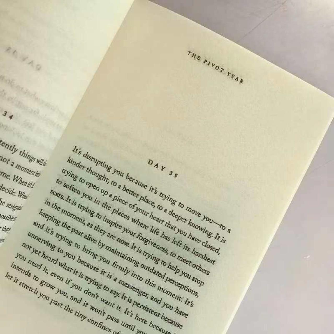 The Pivot Year: 365 Days to Become the Person You Truly Want to Be ...