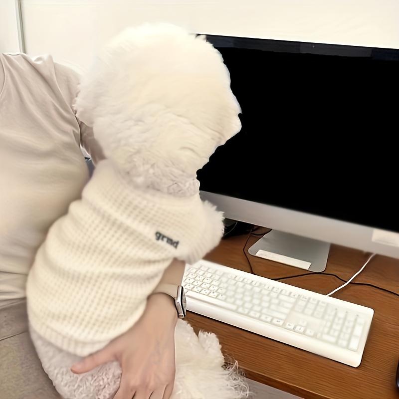 Knitted Pet Sweaters, Fashionable Dog Pullovers In Assorted Colors ...