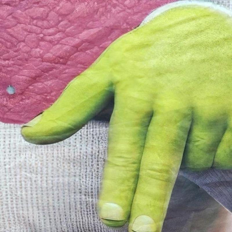 Funny Shrek Pink Tapestry 3x5 Get Out Of My Swamp Meme Tapestry Wall ...