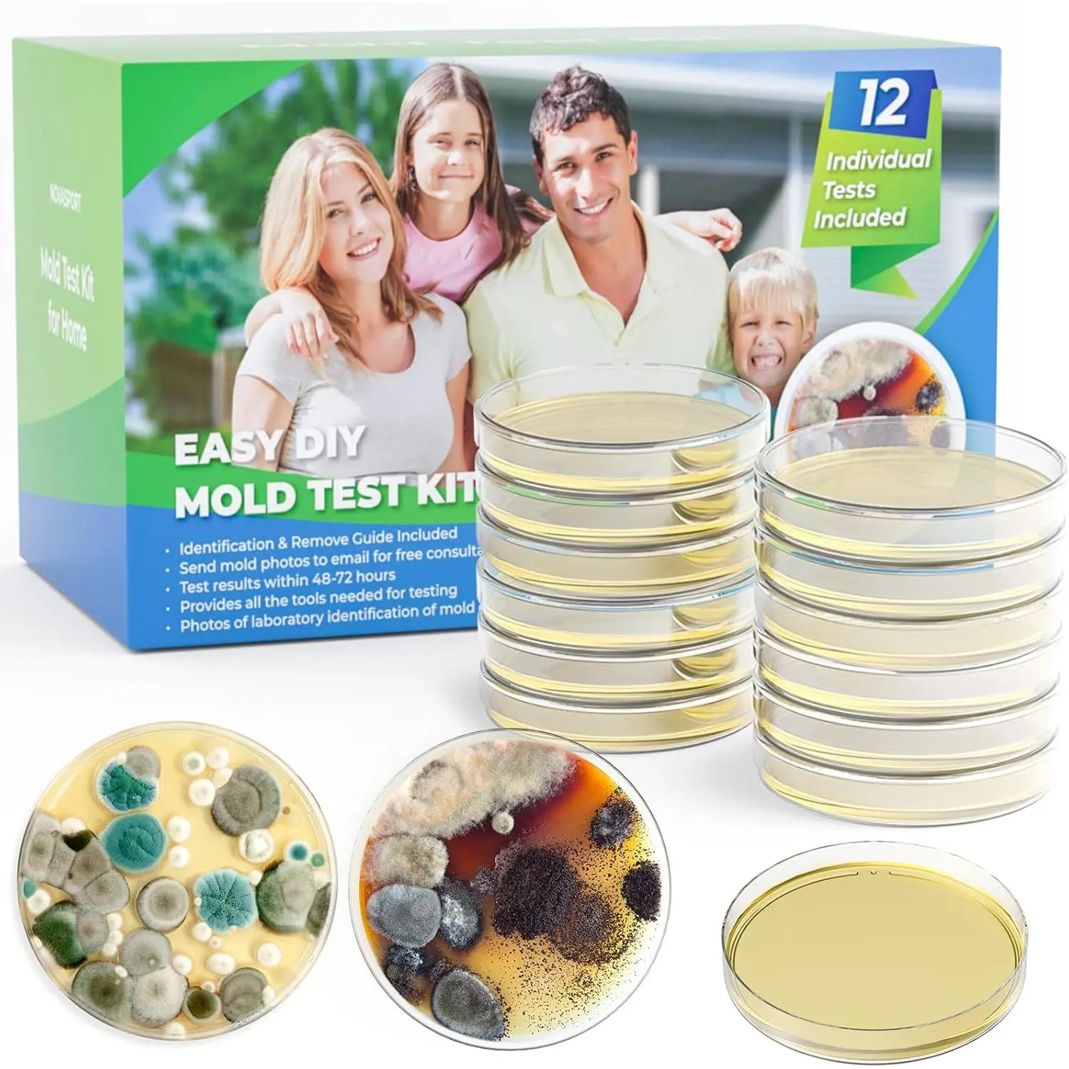 Mold Test Kit for Home - 12 PCS DIY Mold Detector with Detailed ...
